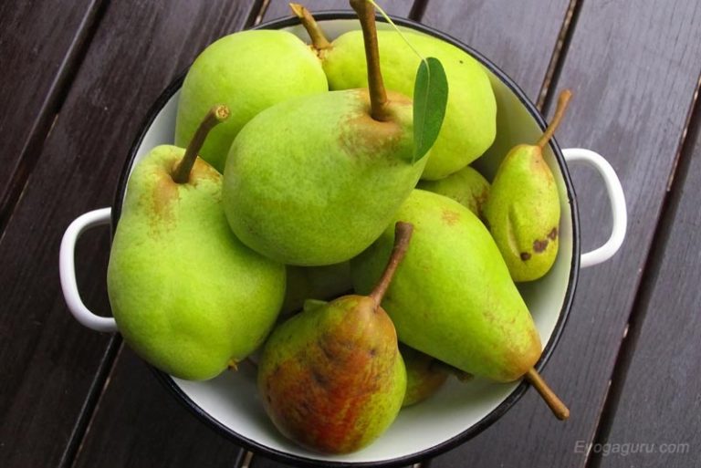 Top 10 Healthy Fruits For Diabetic Patients Eyogaguru Top 10 Healthy Fruits For Diabetic Patients Eyogaguru